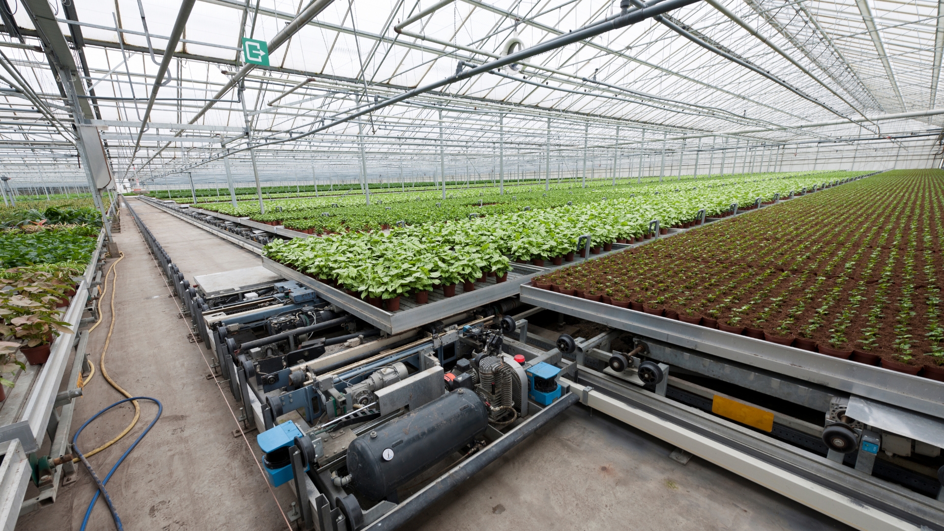 Technology Towards Sustainable Farming - Softograph Insights